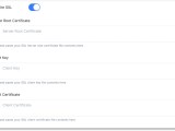 Google Cloud Sql Zing Data Documentation