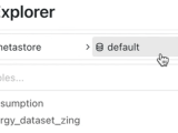 Databricks Zing Data Documentation
