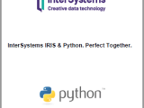 Call Embedded Python Code From Objectscript Using Embedded Python