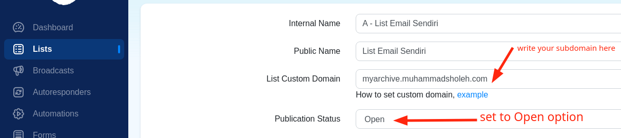 How to Set Up a List Custom Domain - KIRIM.EMAIL