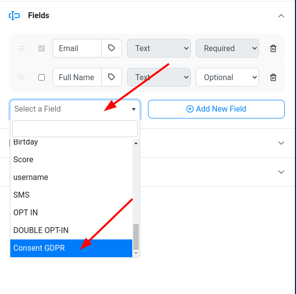 Cara Mengaktifkan GDPR Consent Pada Form - KIRIM.EMAIL