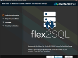 Mertech Flex2sql