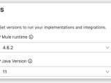 Version Settings For Mule Java And Connectors Mulesoft Documentation