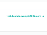Manage Domains For Branch Deploys Netlify Docs