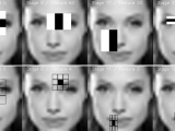 Opencv Cascade Classifier Training