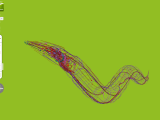 Worm Browser Openworm Documentation