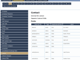 Netsuite Applications Suite Suitescript Record Summary Overview