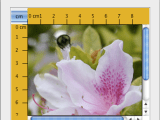 How To Use Scroll Panes The Java邃 Tutorials Creating A Gui With