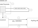 Payplug Api Integrated Payments