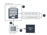 Payplug Api Payplug Js