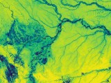Data Catalog Planet Documentation
