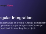 Angular Integration Docs