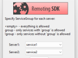 Service Group Sample Delphi