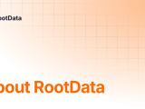About Rootdata Rootdata