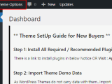 Theme Options Documentation