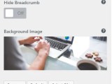 Blog Customization Thimpress Docs