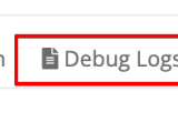 Debug Logs