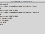 Unity Manual Cache Server
