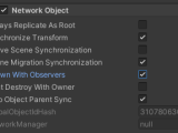 Networkobject Netcode For Gameobjects 1 14 1