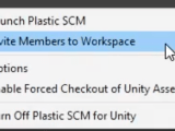 Add Team Members Unity 手册
