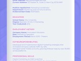 23 Application Templates For Google Docs Free Download
