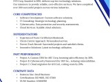 Free Capability Statement Template For Google Docs