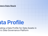 Data Profile Version 10 Astera Data Stack