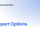 Report Options Version 8 Astera Data Stack