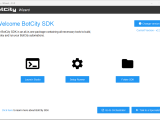 Runner Setup Botcity Documentation
