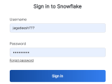 Connect To Snowflake Documentation Eccenca