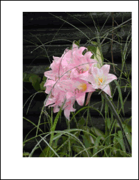 Image Example Abcpdf Net Documentation - Full HD Space Photos for Desktop