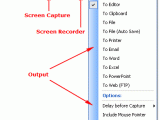Capture Panel Faststone Capture Documentation