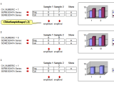 Chart Examples Microchip Graphics Library Documentation