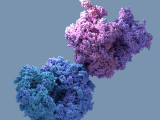 Rendering Using Cycles Samson User Guide