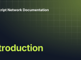 Introduction Script Network Documentation