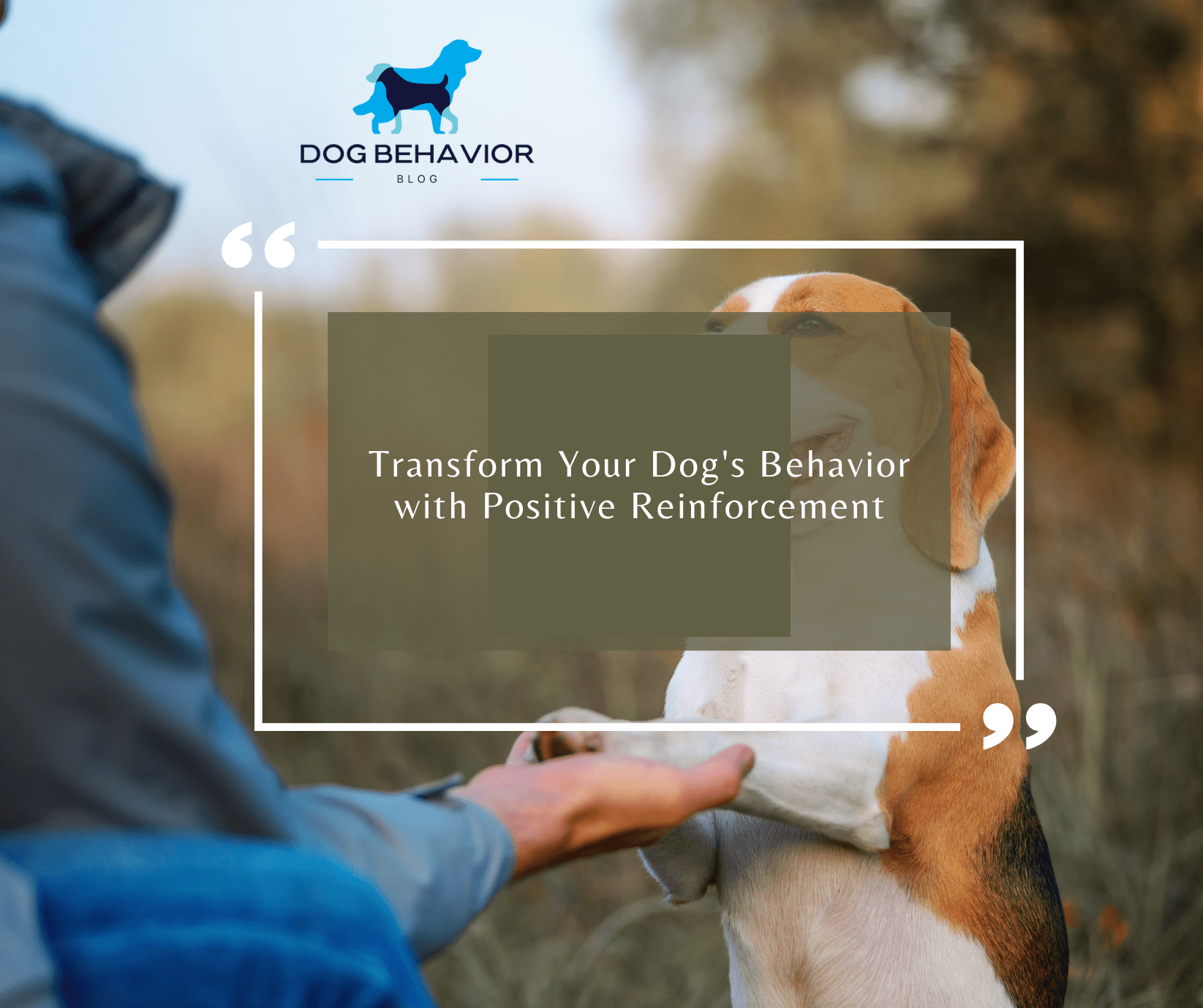 Transform Your Dog's Behavior with Positive Reinforcement - Dog ...