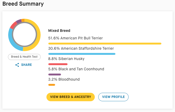 breed-summary | Dog Breed Identifier