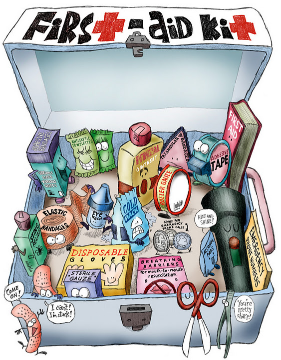 Life In a First-Aid Kit | Dogfoose.com (Michael Kline)