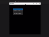 Domain Executor Download