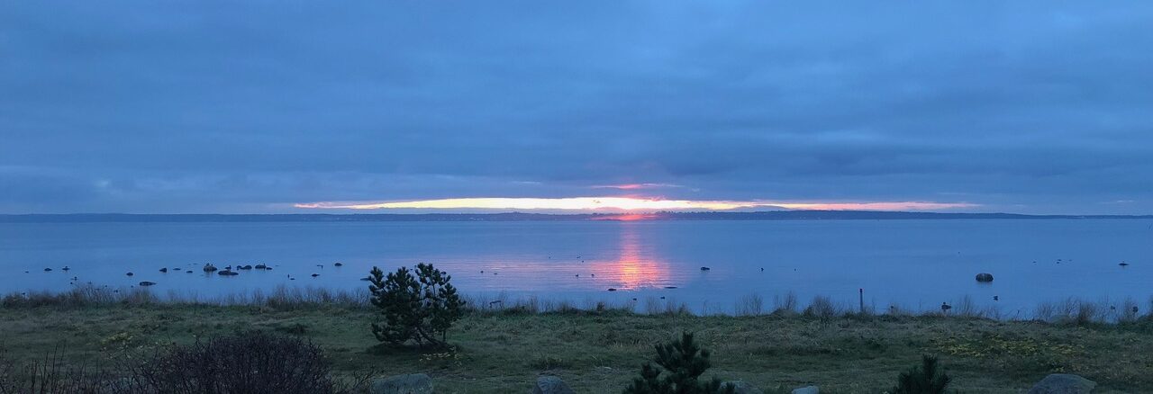 Året i bilder – Domsten och Gråläge