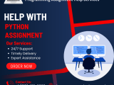 Hire Someone To Do Python Assignment Do My Programming Assignment