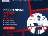 Do My Programming Homework Hire Expert Programmers For Assignment Help