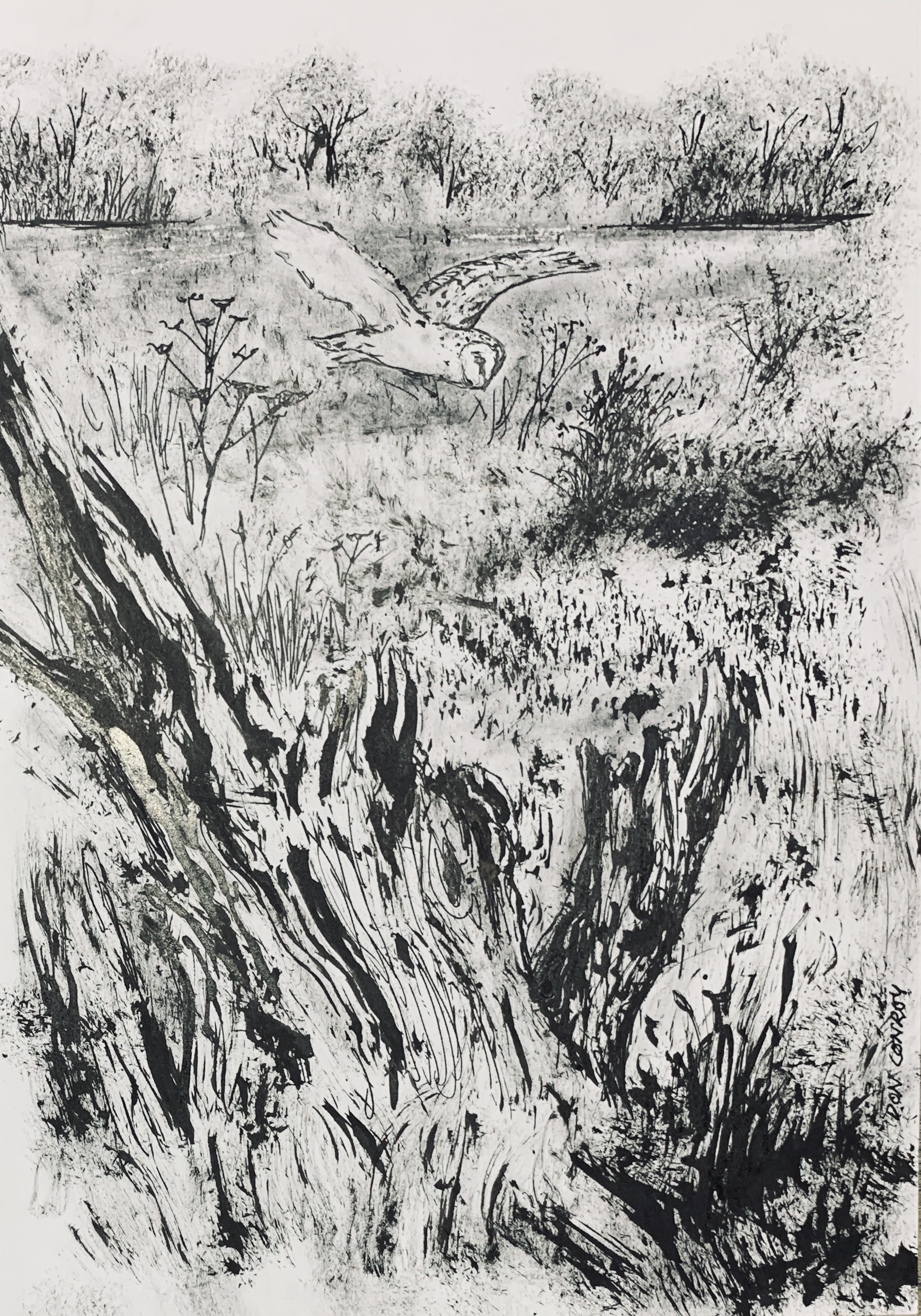 Heading home – Don Conroy