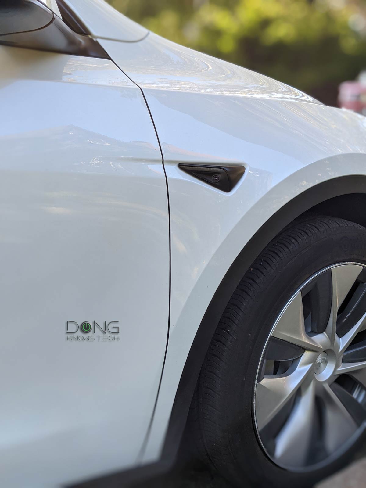 Tesla Tires, Rims & the Bloody Curb Rashes | Dong Knows Tech