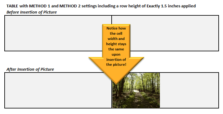 How to Freeze a Table Cell in Word When Inserting a Picture - Donna's ...