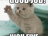 50 Good Job Memes For A Job Well Done That You Ll Want To Share