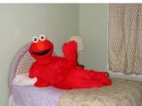 50 Funny Elmo Memes That Will Make You Laugh