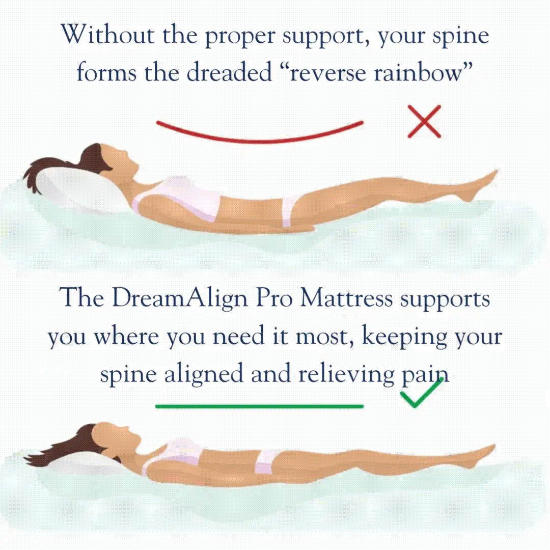 Dosaze Dreamalign Hybrid