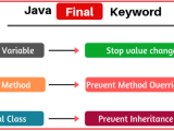 Final Keyword In Java With Examples Dot Net Tutorials