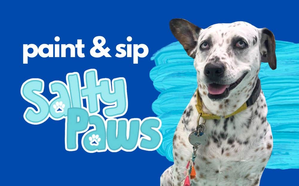 Salty Paws Paint & Sip Fun for Dogs - Downbeach BUZZ